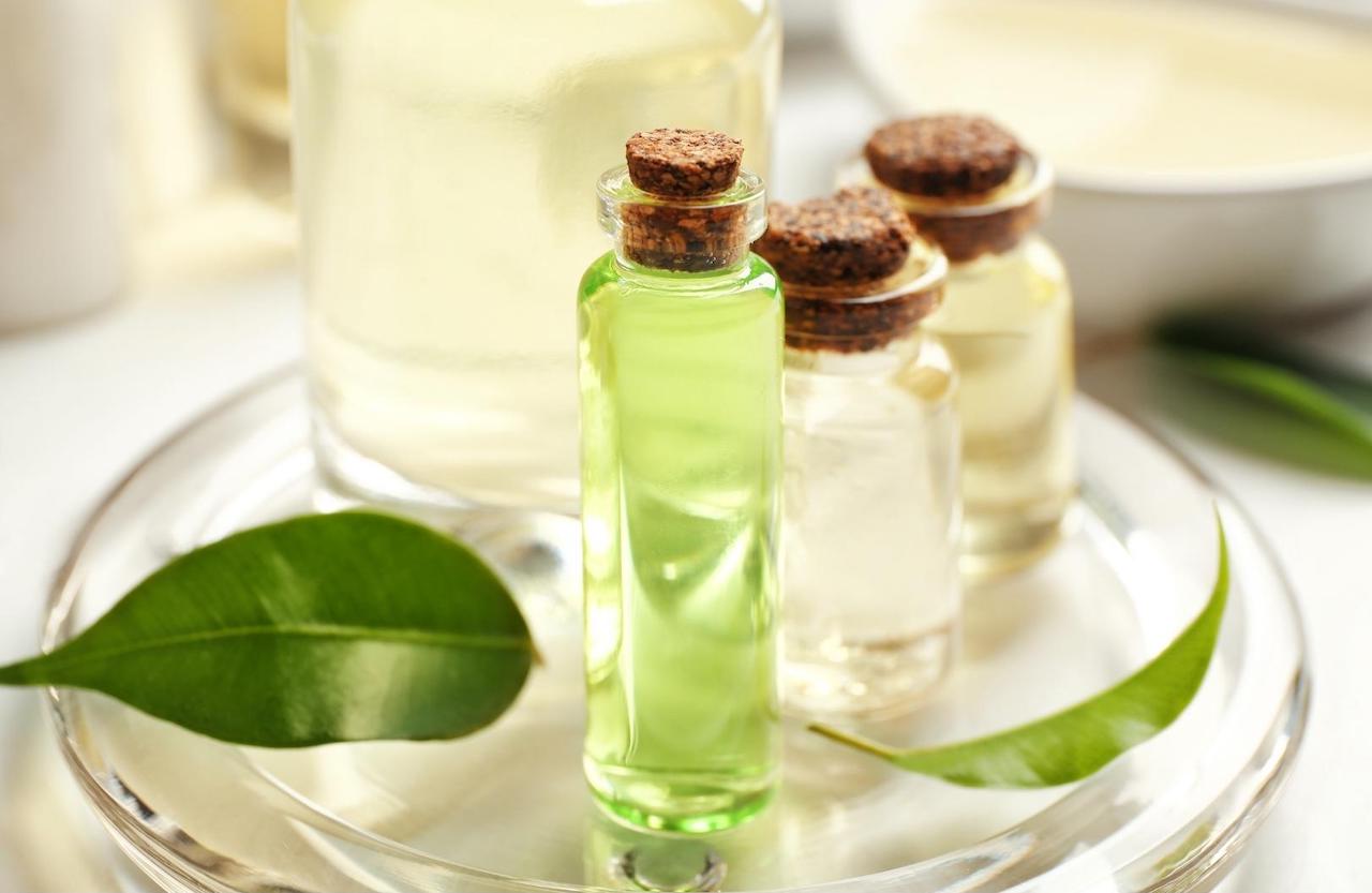 7 Uses of Tea Tree Essential Oil | The Beautiful Lifestyle Online